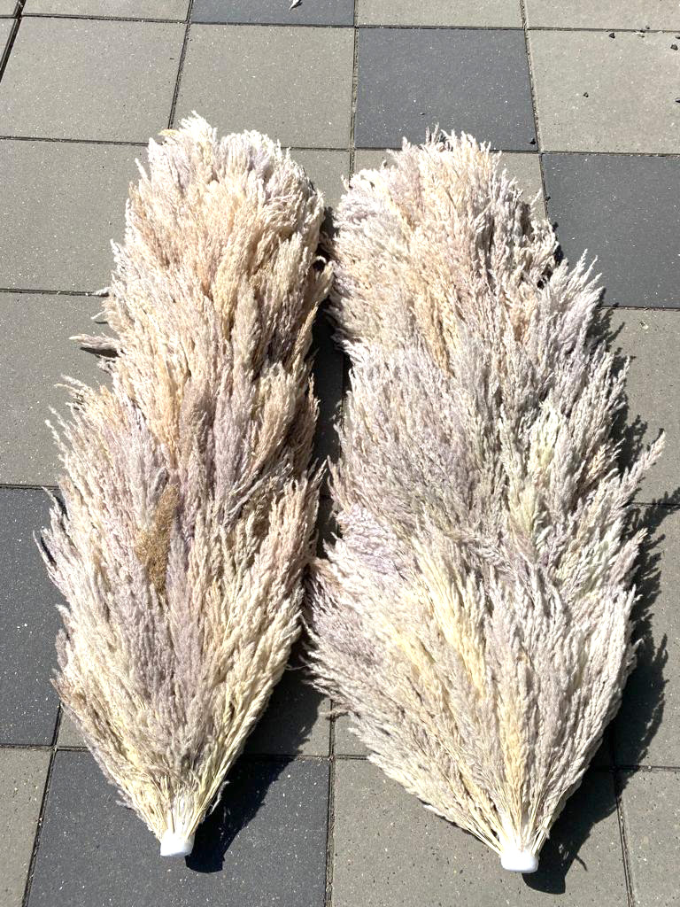 Galleri | Maskot Event